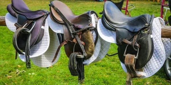 The History and Evolution of English Saddles - flaremagazine