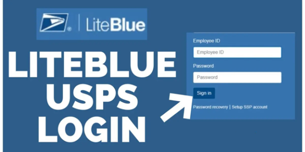 LiteBlue Login and ePayroll: A USPS Employee's Guide to Managing Pay ...